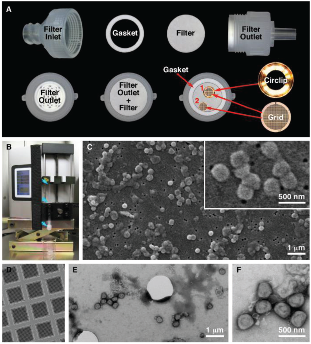 A Filtration Based Technique for Simultaneous SEM and TEM Sample ...