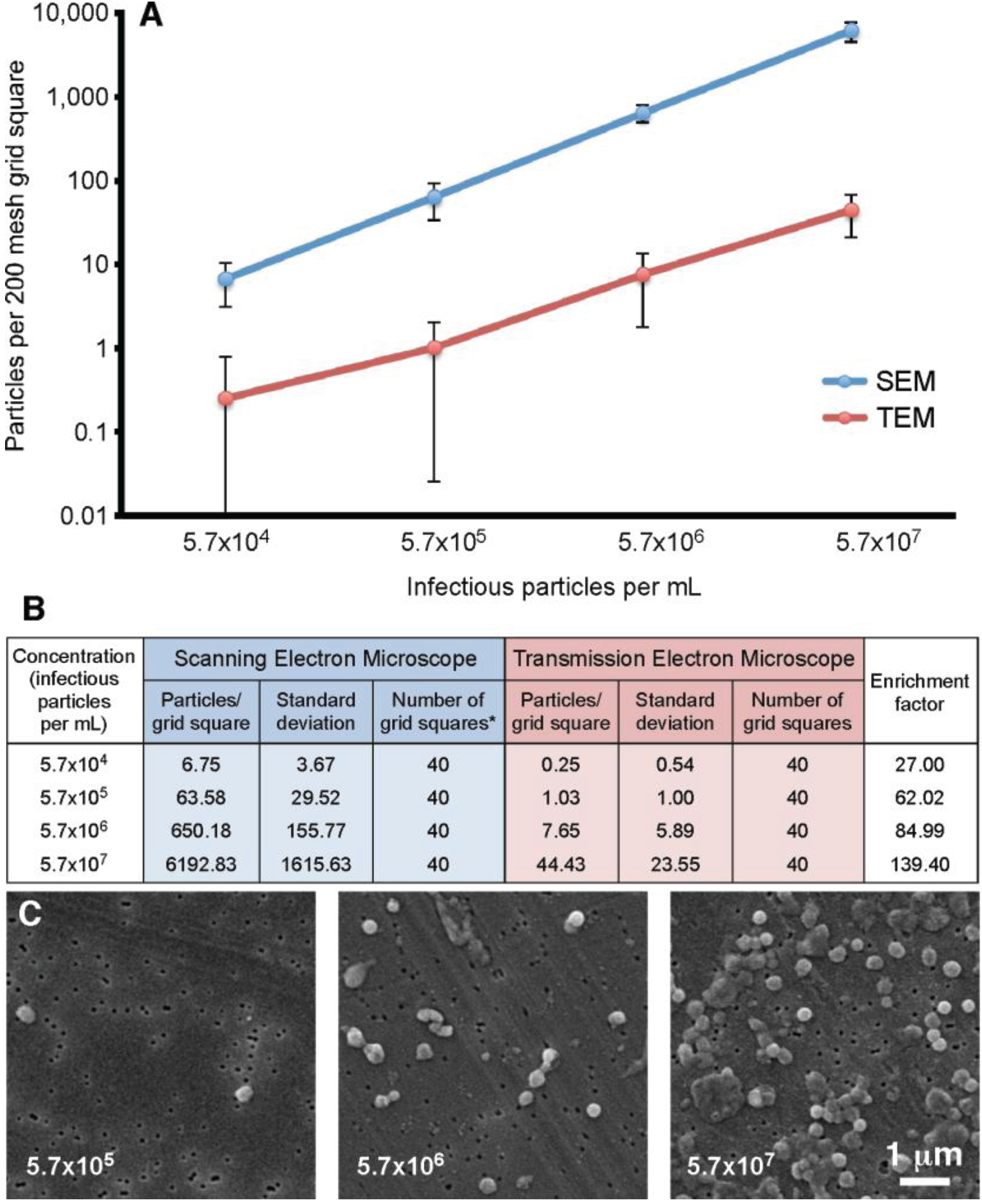 A Filtration Based Technique for Simultaneous SEM and TEM Sample ...