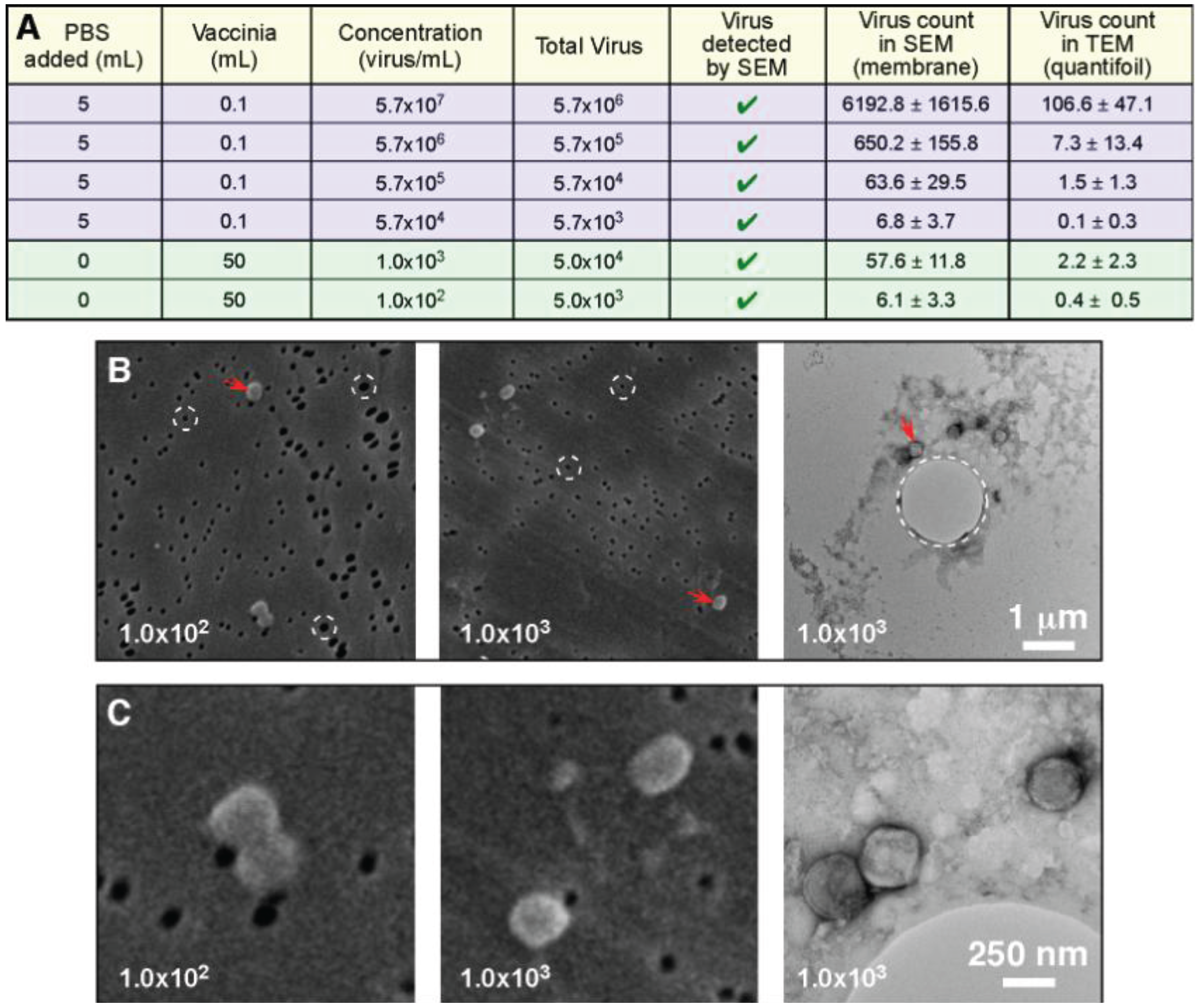 A Filtration Based Technique for Simultaneous SEM and TEM Sample ...