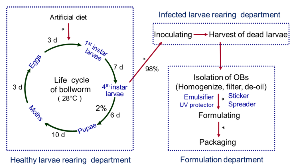 History and Current Status of Development and Use of Viral Insecticides ...