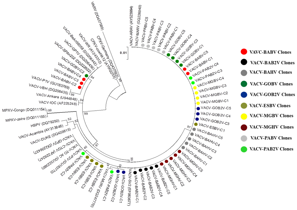 Viruses | Special Issue : Poxvirus Evolution