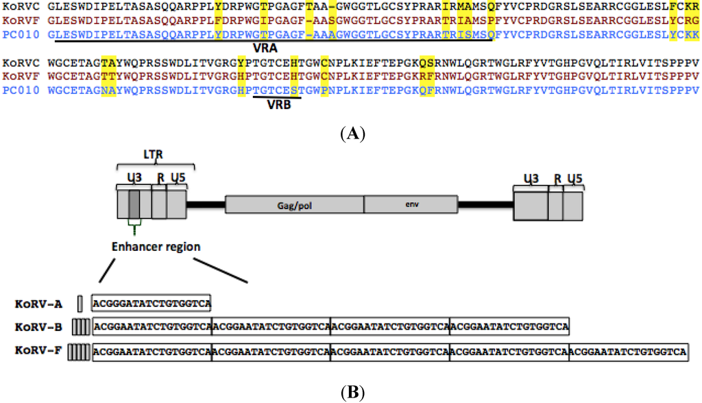 Viruses | Special Issue : Endogenous Viruses