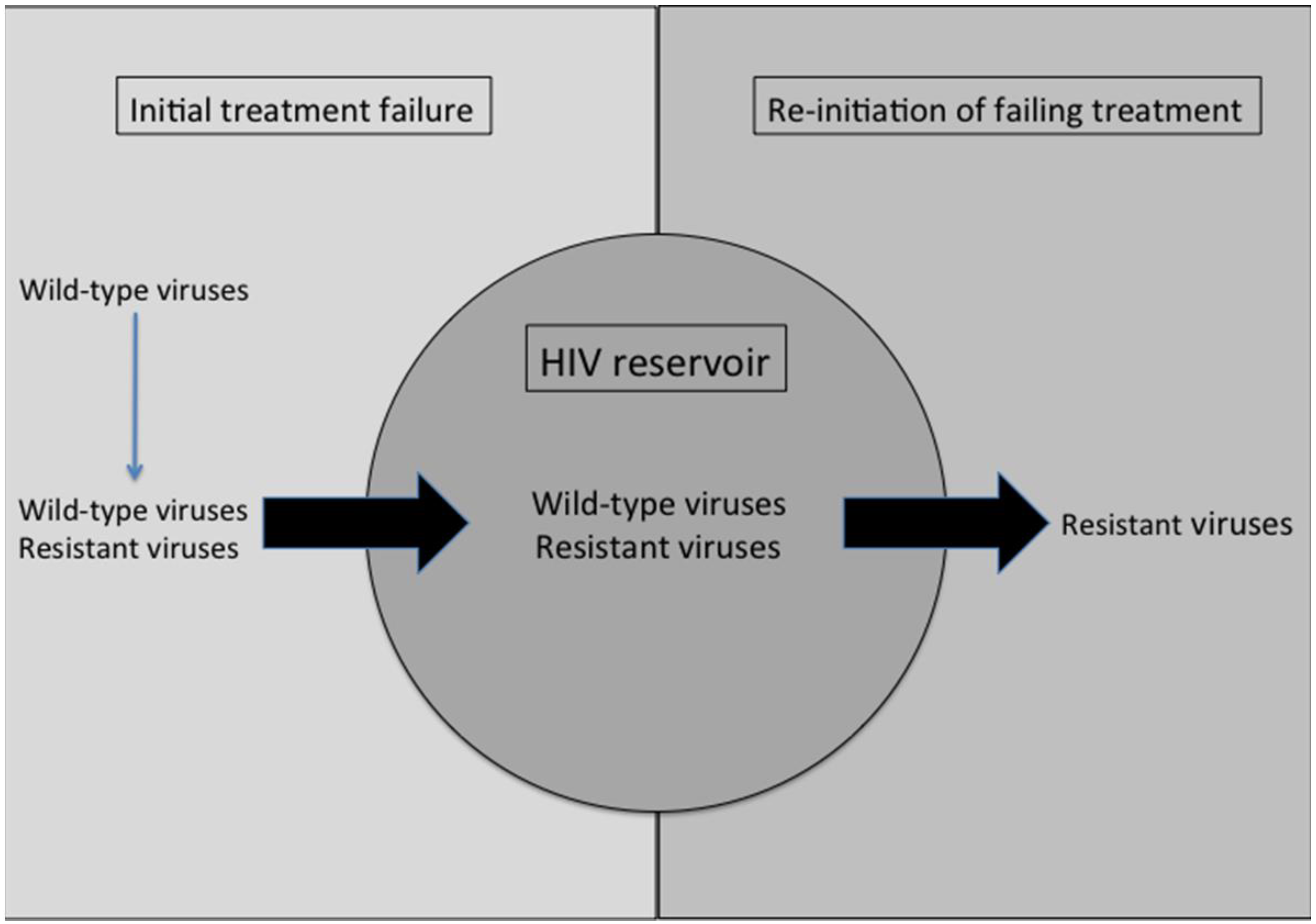 Viruses | Free Full-Text | Resistance against Integrase Strand Transfer ...