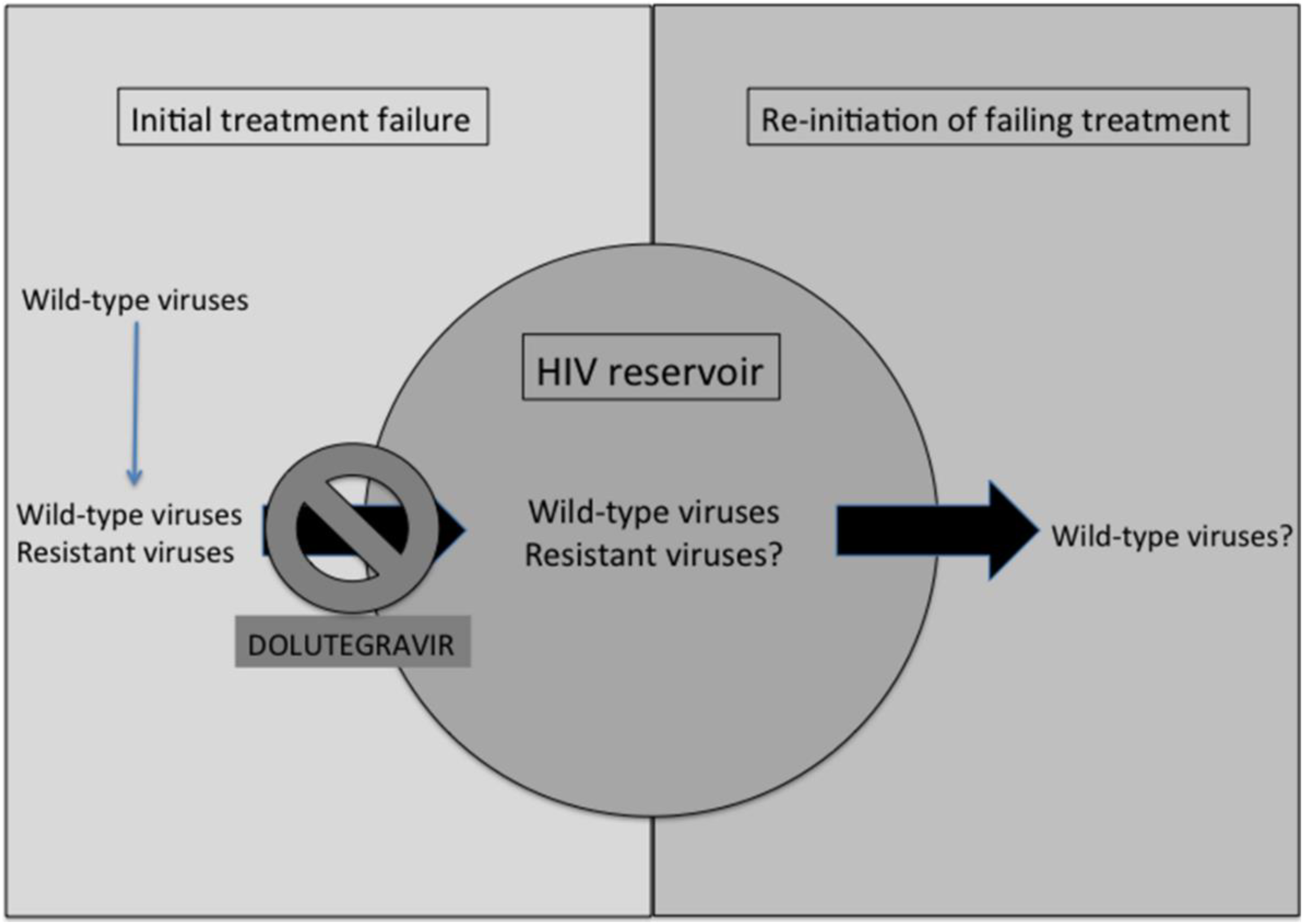 Resistance against Integrase Strand Transfer Inhibitors and Relevance ...