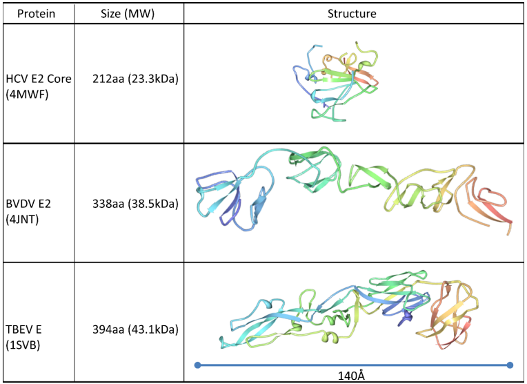 Viruses | Special Issue : Viral Glycoprotein Structure