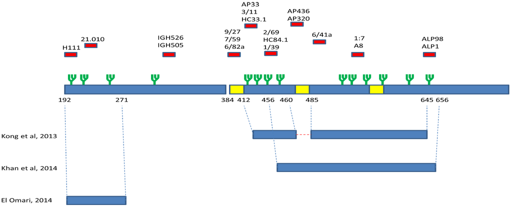 Viruses | Special Issue : Viral Glycoprotein Structure