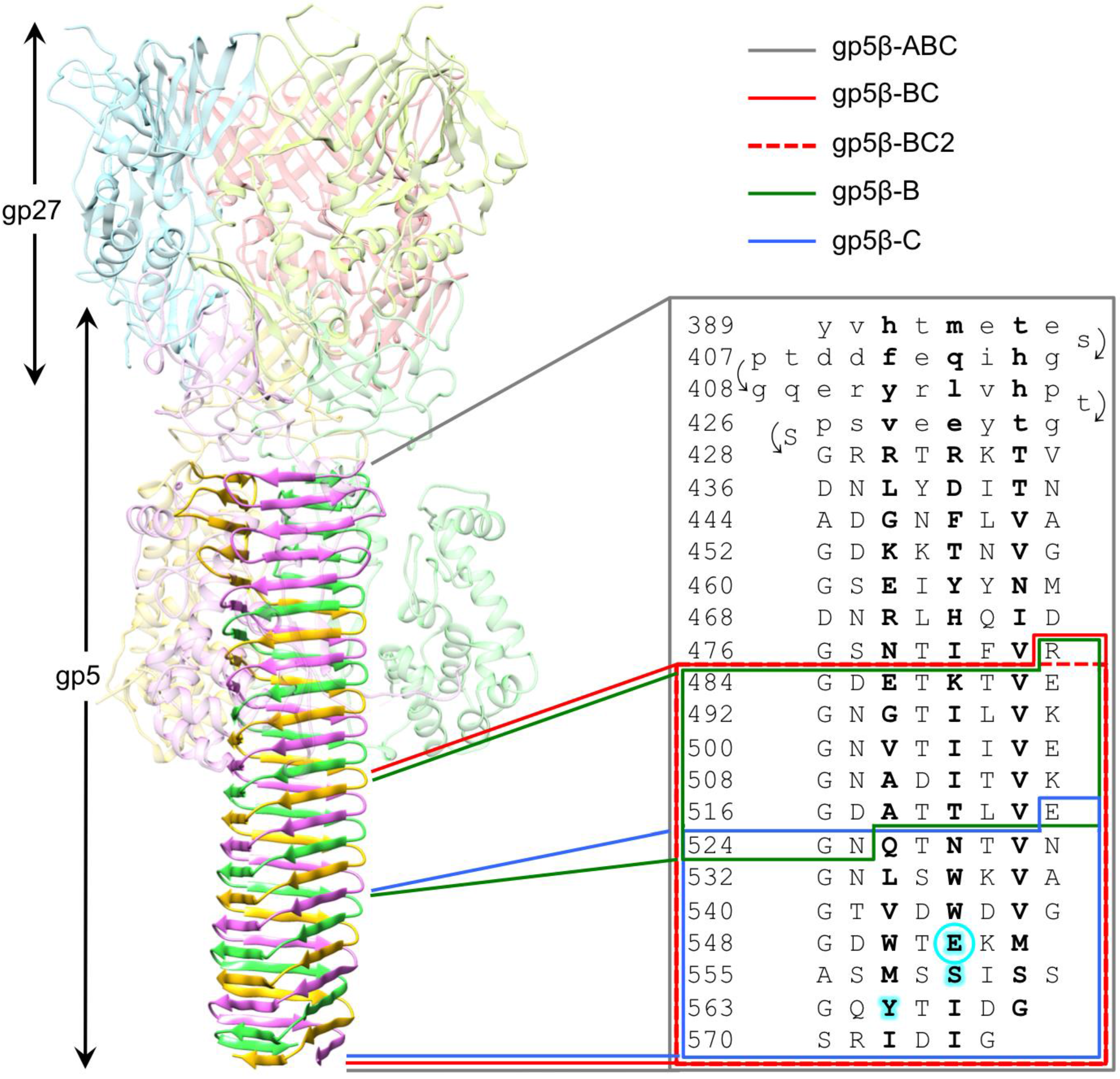 Structure and Biophysical Properties of a Triple-Stranded Beta-Helix ...