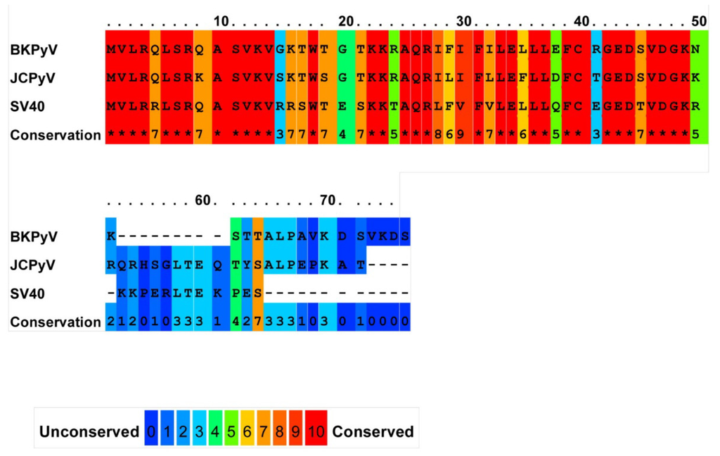 Emerging Roles of Viroporins Encoded by DNA Viruses: Novel Targets for ...