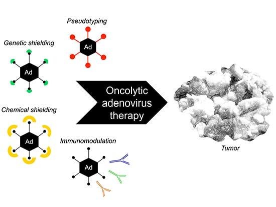Viruses | Free Full-Text | Oncolytic Adenovirus: Strategies and ... Viruses | Free Full-Text | Oncolytic Adenovirus: Strategies and ...