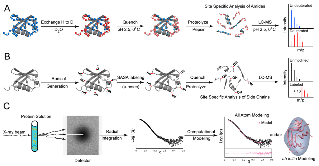 Viruses | Special Issue : Viral Glycoprotein Structure