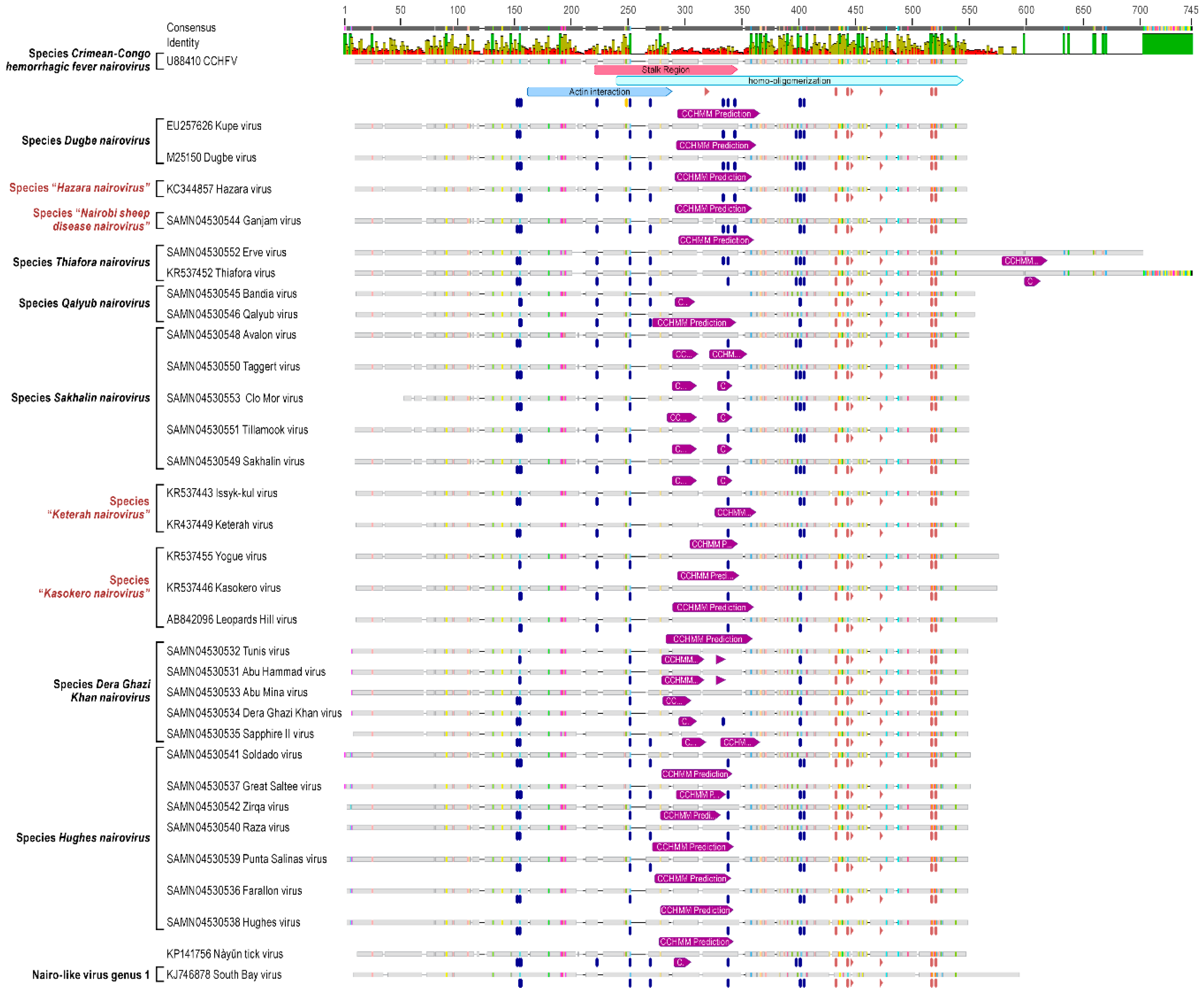 Genomic Characterization of the Genus Nairovirus (Family Bunyaviridae)