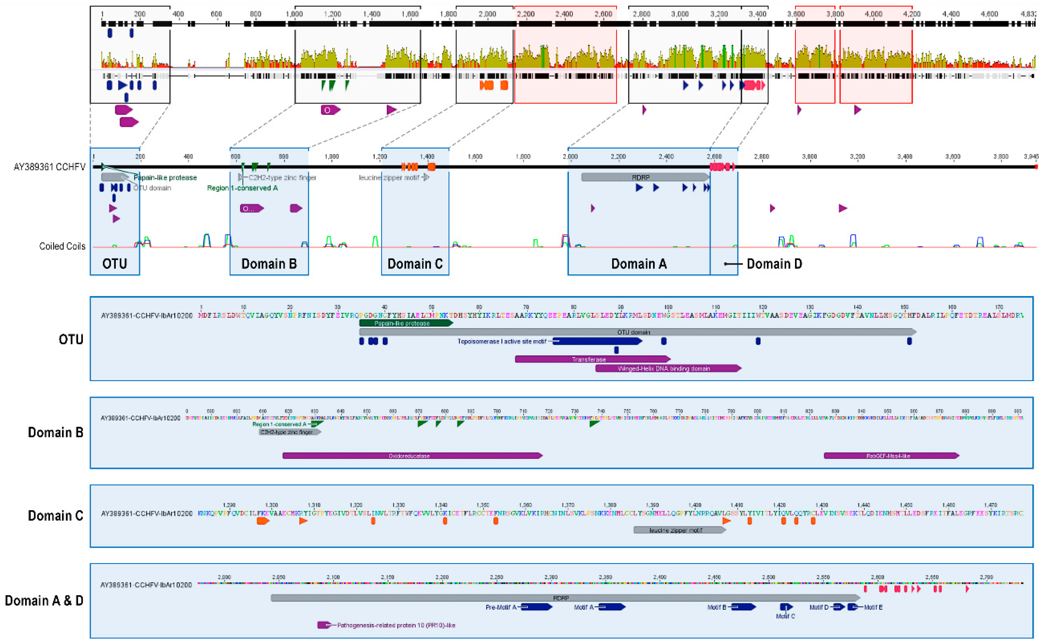 Genomic Characterization of the Genus Nairovirus (Family Bunyaviridae)