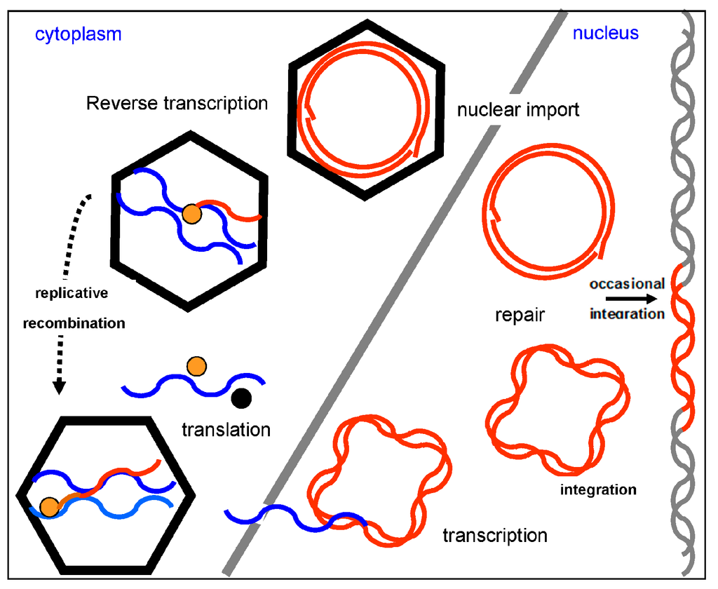 Badnaviruses: The Current Global Scenario