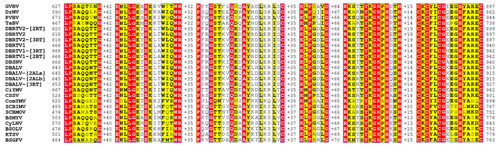 A Sequence-Independent Strategy for Amplification and Characterisation ...