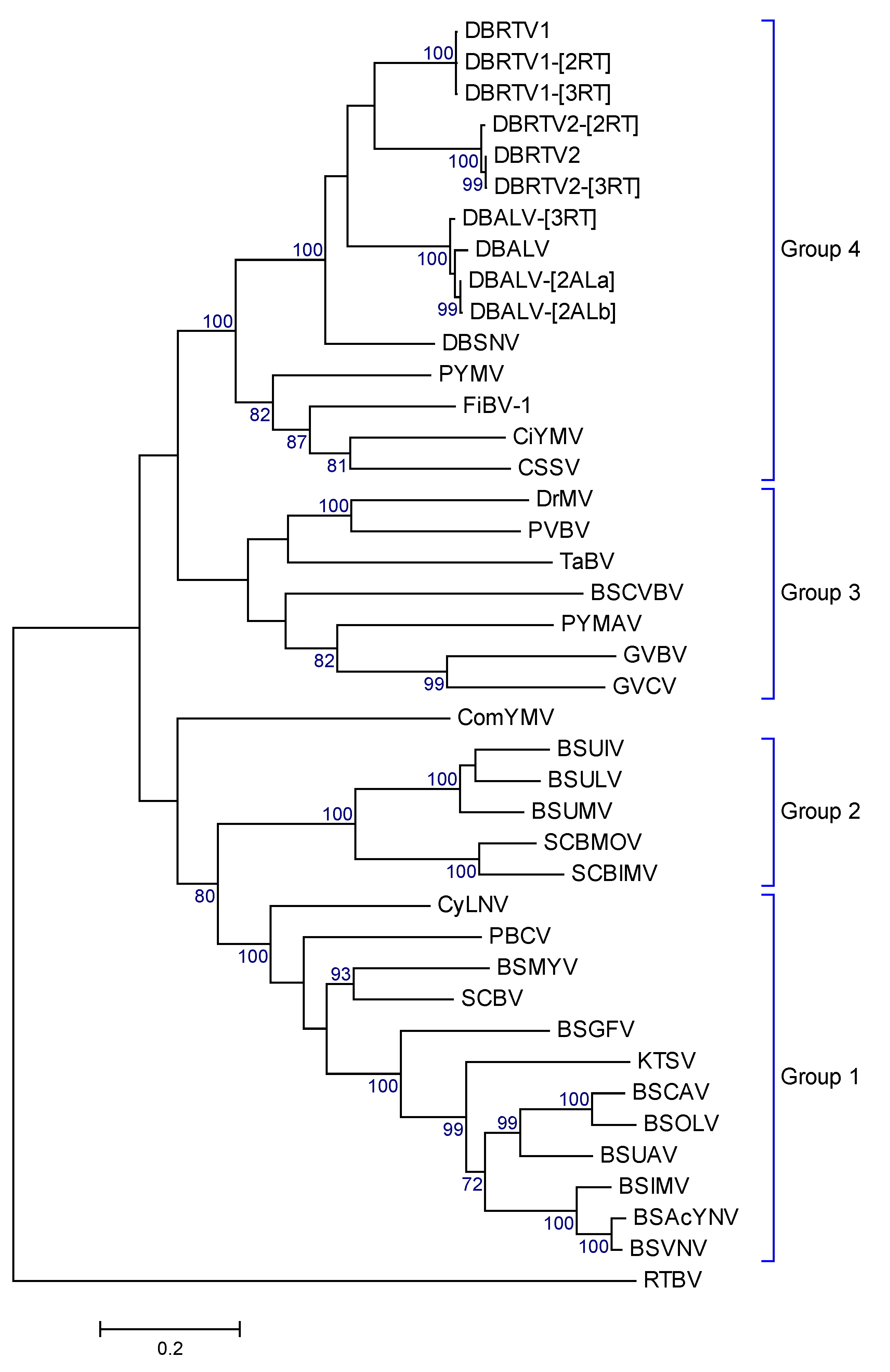 A Sequence-Independent Strategy for Amplification and Characterisation ...
