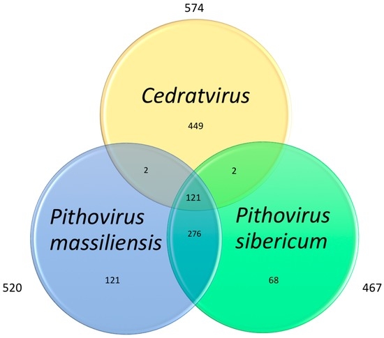 Cedratvirus, a Double-Cork Structured Giant Virus, is a Distant ...
