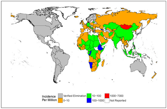 Perspective on Global Measles Epidemiology and Control and the Role of ...