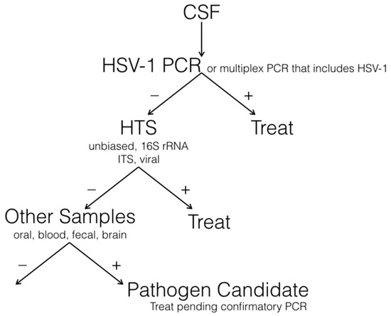 Viral Encephalitis of Unknown Cause: Current Perspective and Recent ...