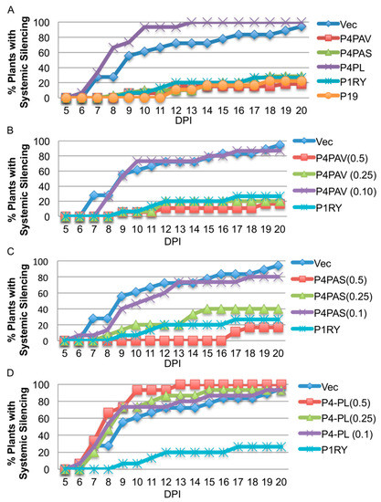The Luteovirus P4 Movement Protein Is a Suppressor of Systemic RNA ...