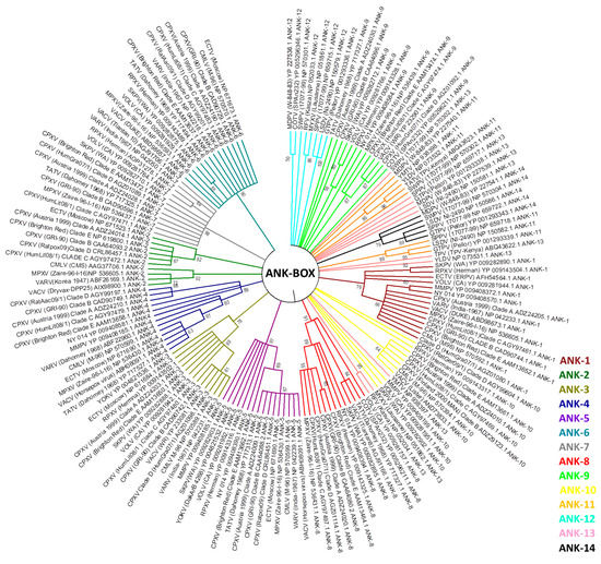 Poxvirus Host Range Genes and Virus–Host Spectrum: A Critical Review