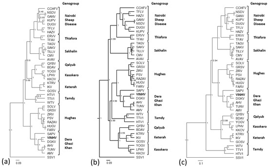 Genomic Characterisation of Vinegar Hill Virus, An Australian ...