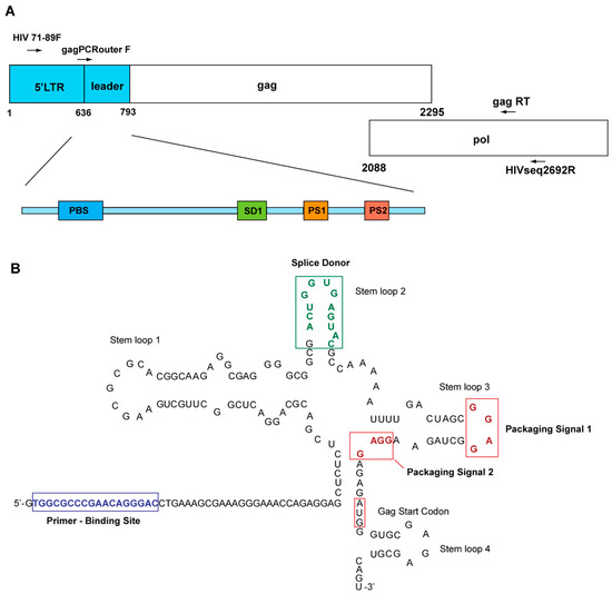 HIV-1 Subtypes and 5’LTR-Leader Sequence Variants Correlate with ...