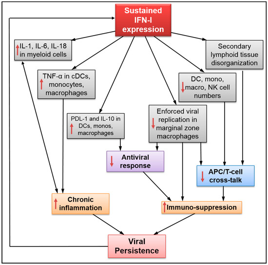 Sustained IFN-I Expression during Established Persistent Viral ...