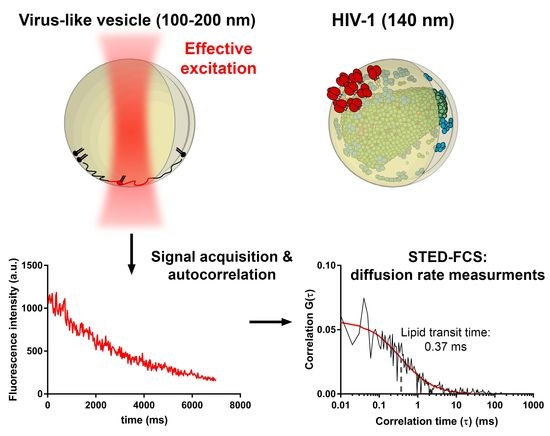 Viruses | Special Issue : Application of Advanced Imaging to the Study ...