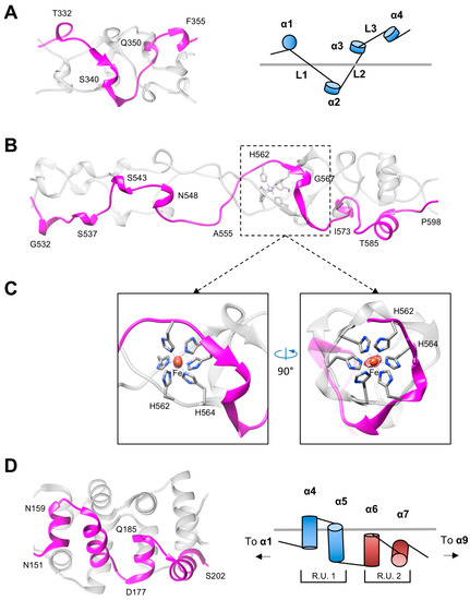Viruses | Free Full-Text | Structure and Analysis of R1 and R2 Pyocin ...