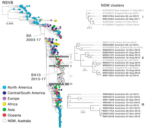 Evolution of Human Respiratory Syncytial Virus (RSV) over Multiple ...