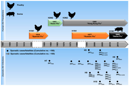 Viruses | Free Full-Text | Zoonotic Potential of Influenza A Viruses: A ...