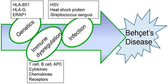 HSV-Induced Systemic Inflammation as an Animal Model for Behçet’s ...