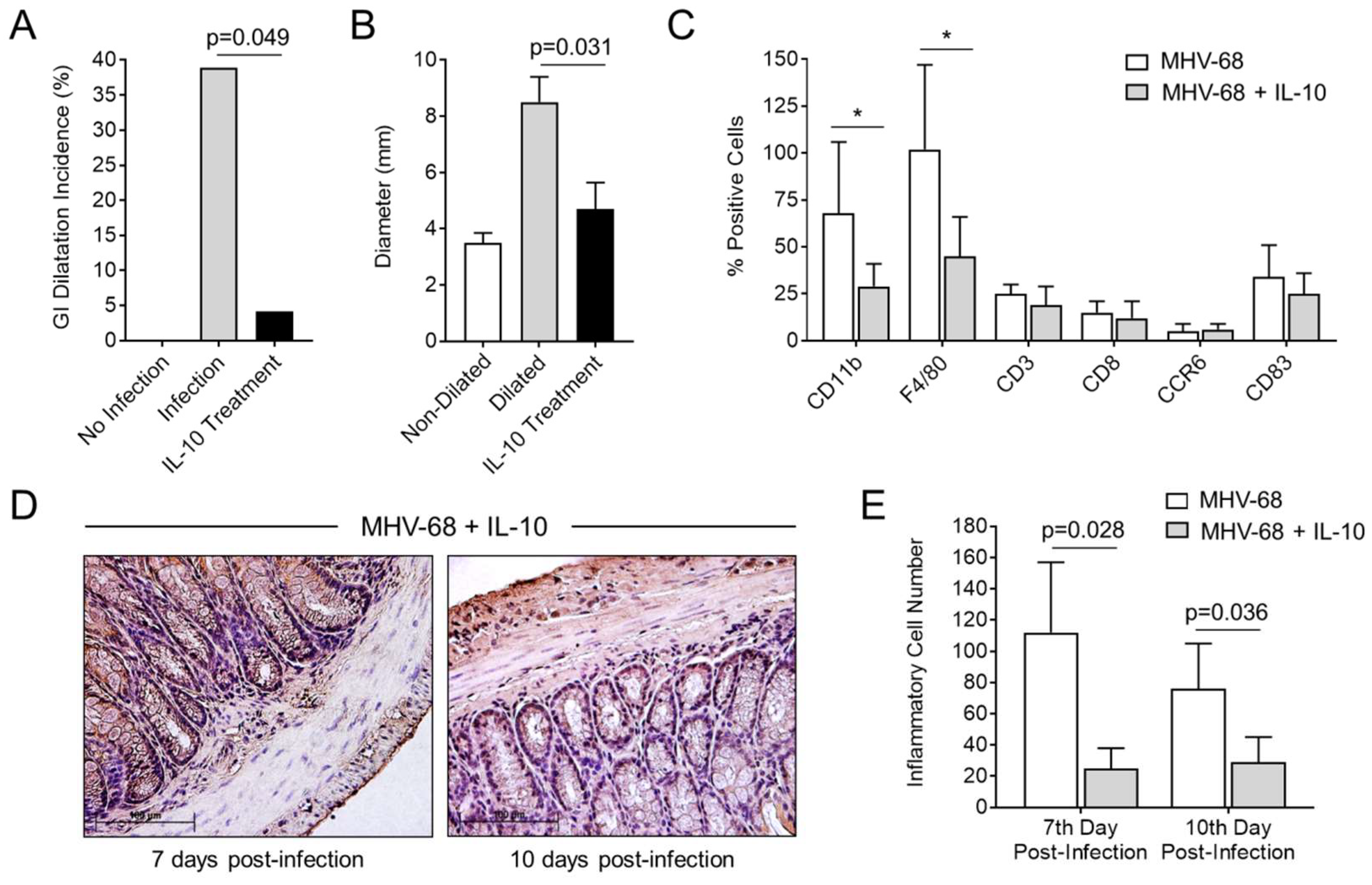Mouse Gamma Herpesvirus MHV-68 Induces Severe Gastrointestinal (GI ...
