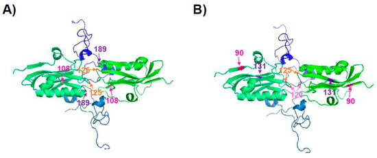Modulation of Innate Immune Responses by the Influenza A NS1 and PA-X ...