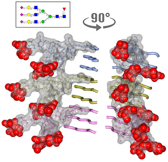 Prion Strain-Specific Structure and Pathology: A View from the ...