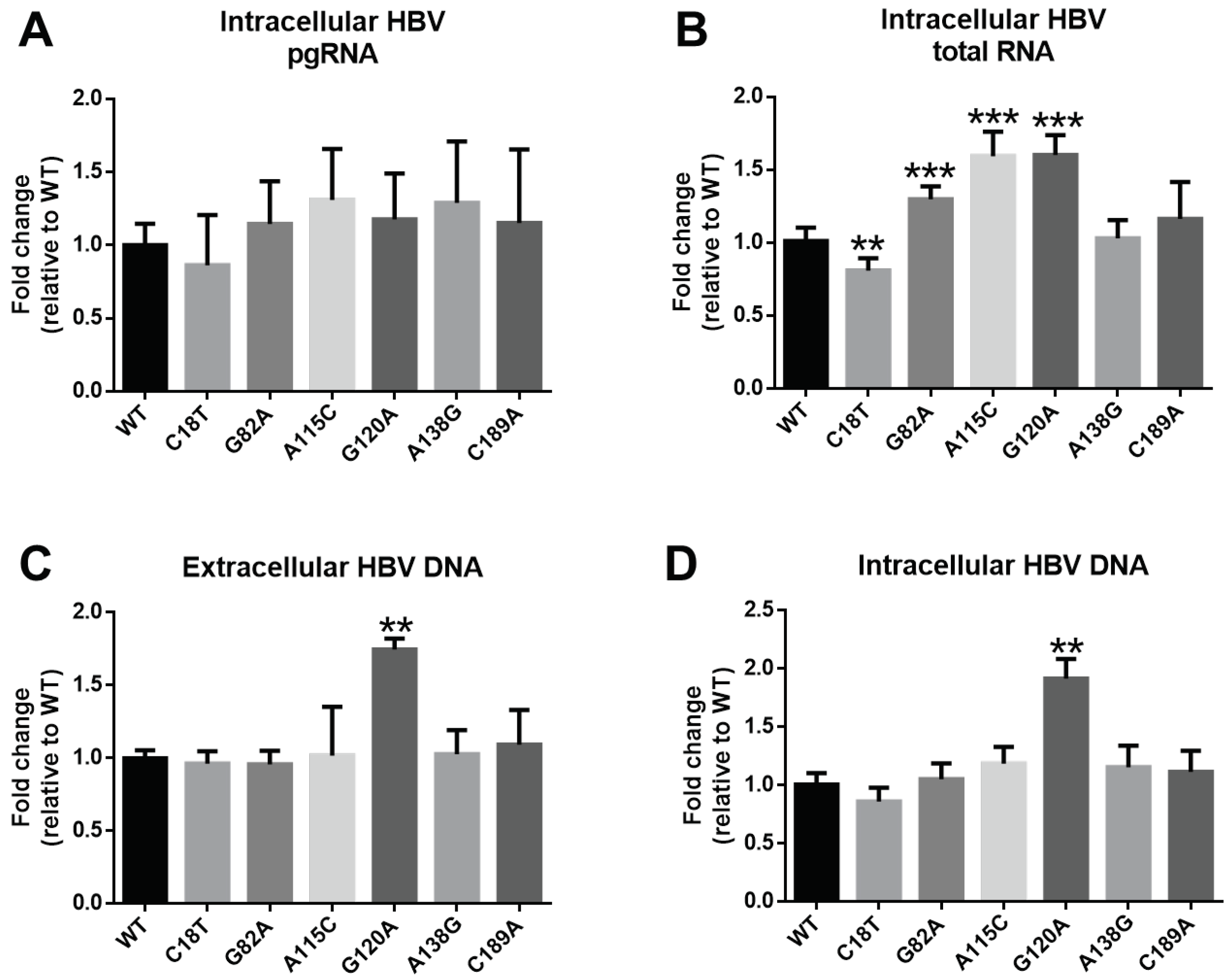 Viruses | Free Full-Text | Naturally Occurring Mutations within HBV ...