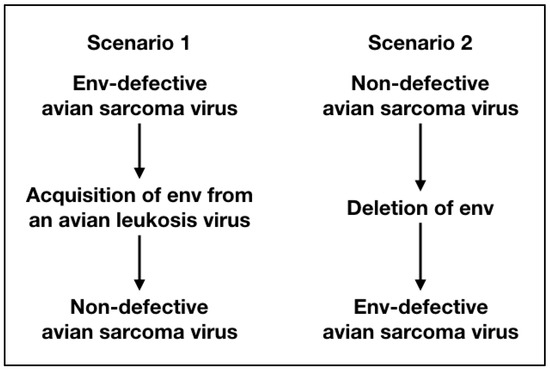 The Importance of Being Non-Defective: A Mini Review Dedicated to the ...