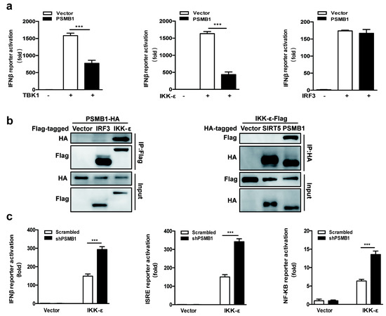 PSMB1 Negatively Regulates the Innate Antiviral Immunity by ...