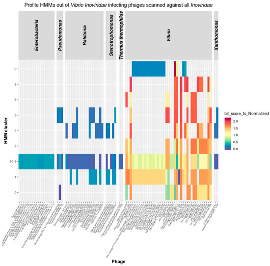 Classifying the Unclassified: A Phage Classification Method