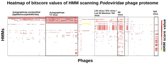 Classifying the Unclassified: A Phage Classification Method