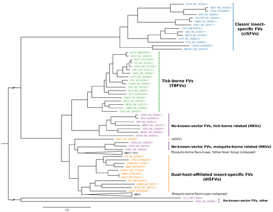 Functional RNA Structures in the 3′UTR of Tick-Borne, Insect-Specific ...