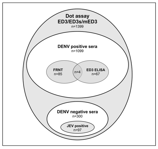 The Dengue ED3 Dot Assay, a Novel Serological Test for the Detection of ...