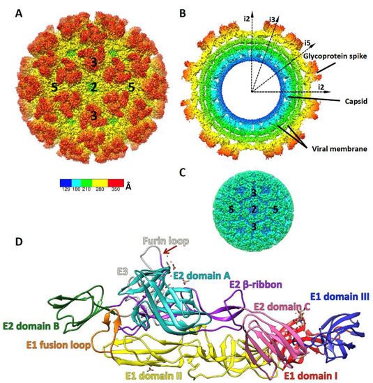 Antiviral Functions of Monoclonal Antibodies against Chikungunya Virus