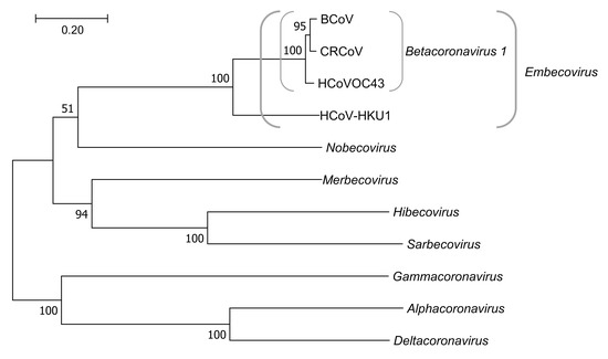 Canine Respiratory Coronavirus, Bovine Coronavirus, and Human ...
