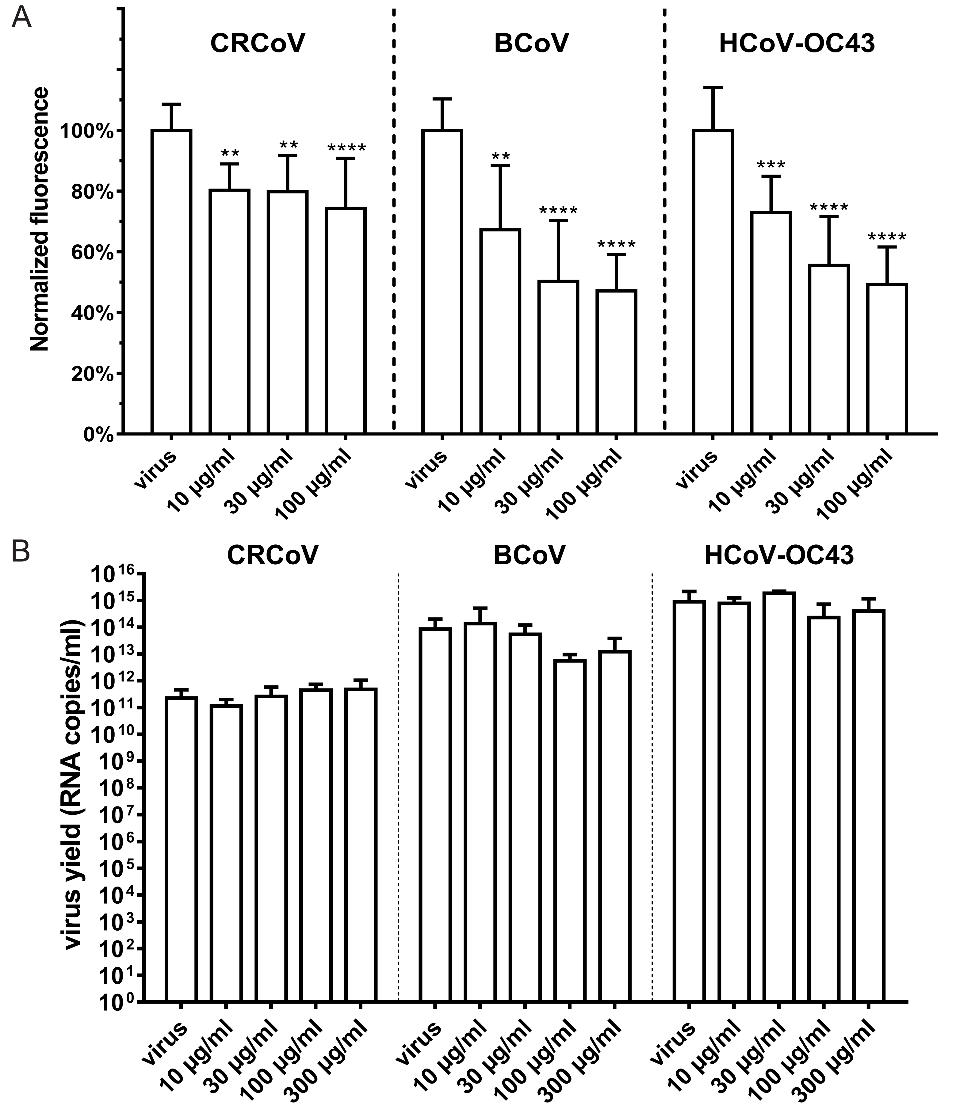 Canine Respiratory Coronavirus, Bovine Coronavirus, and Human ...