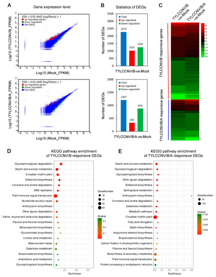 Identification and Analysis of Potential Genes Regulated by an ...