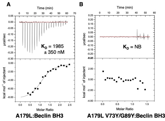 Crystal Structure of African Swine Fever Virus A179L with the Autophagy Regulator Beclin