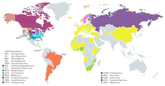 Throw out the Map: Neuropathogenesis of the Globally Expanding ...