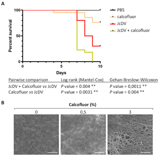 Interaction of a Densovirus with Glycans of the Peritrophic Matrix ...
