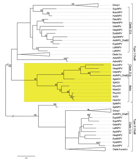 Genome Analysis of a Novel Clade II.b Alphabaculovirus Obtained from ...